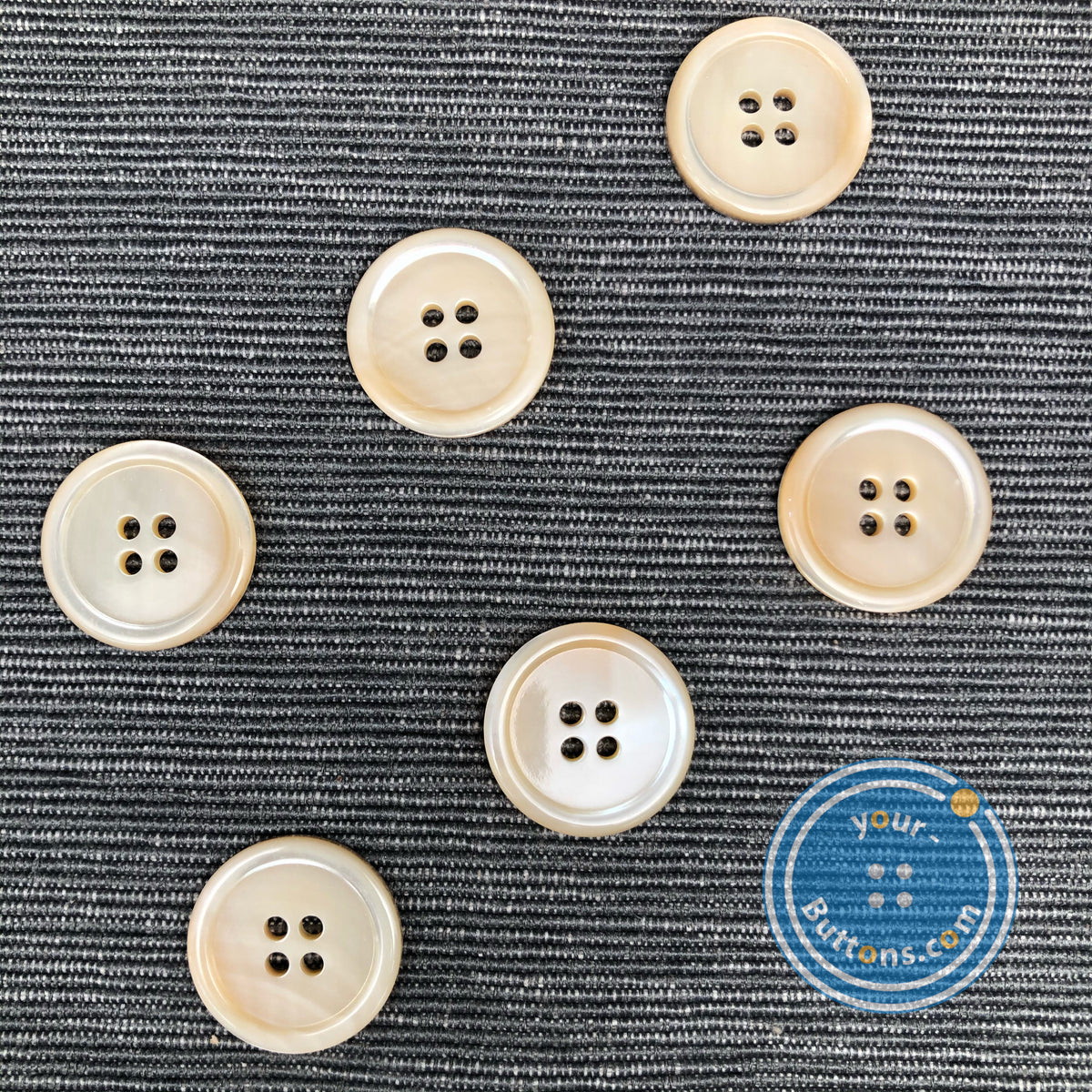 (3 pieces set) 9mm - 23mmBeige color Natural Trocas shell Button – Your ...